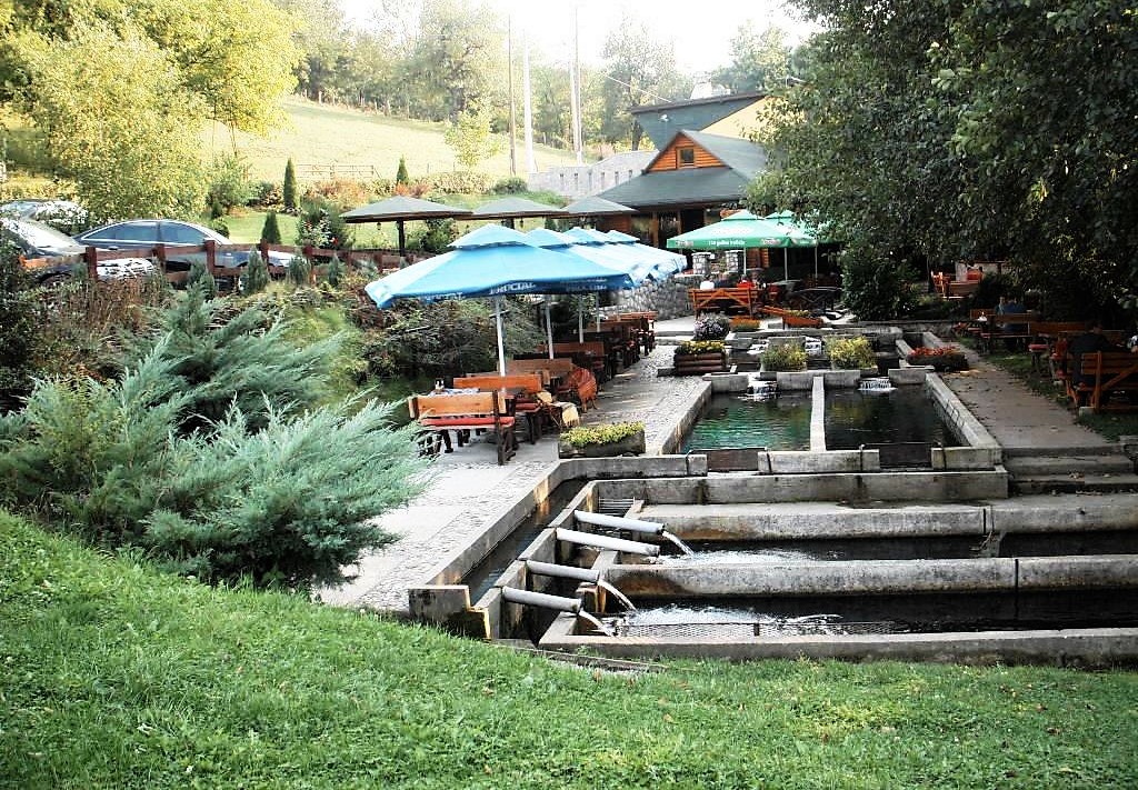 “TRADICIJA” S EKSTRAKT DODATKOM: Košarac stvorio biznis od prodaje ...